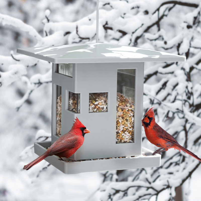 Umbra Cafe Decorative Bird Feeder Reviews Wayfair Canada